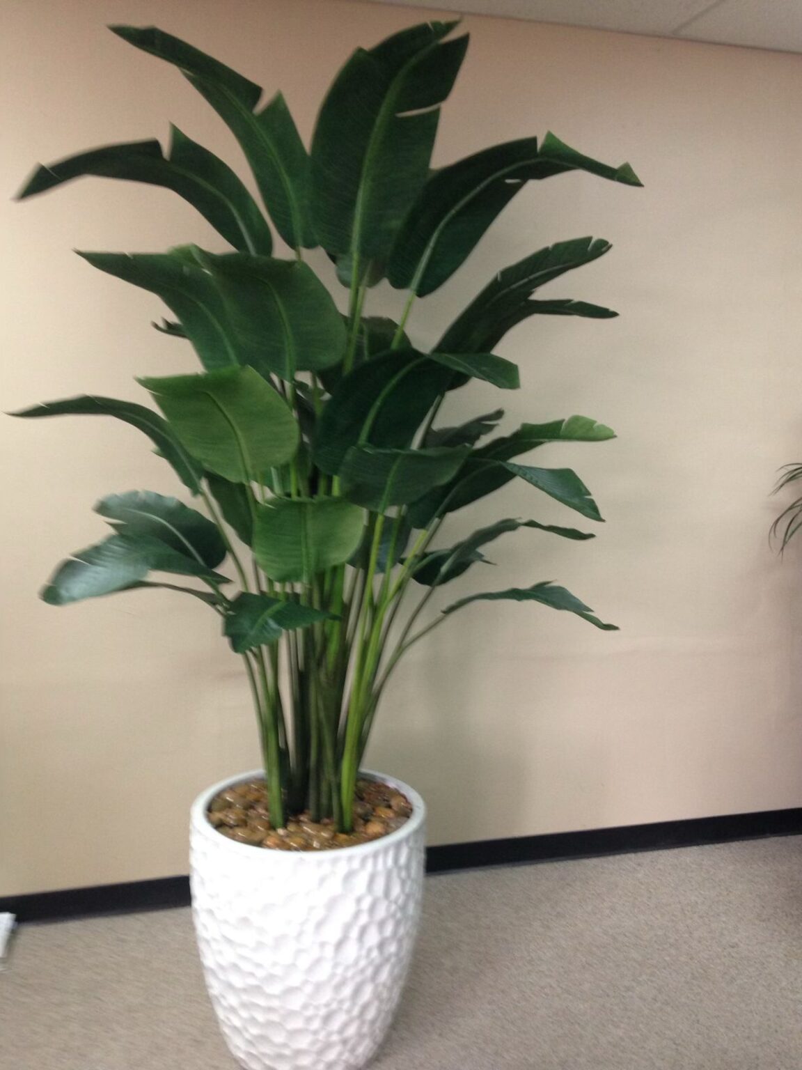 Antonio's Silk Trees – beautifully crafted, high-quality silk trees